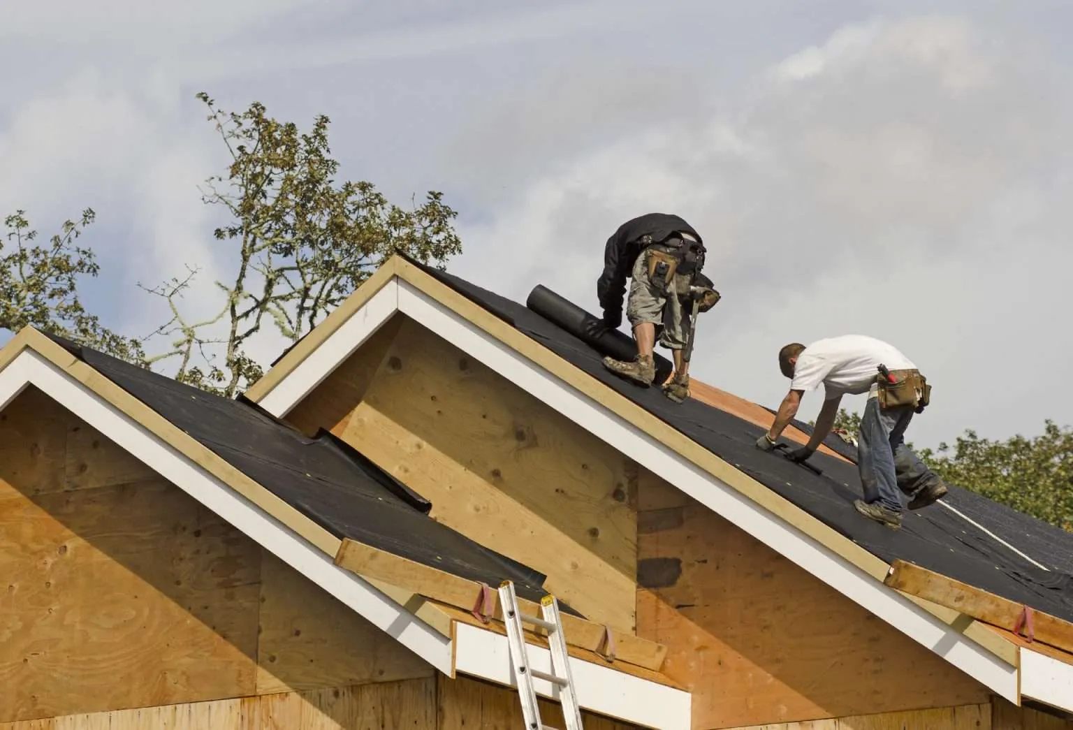 Trophy Point Lending